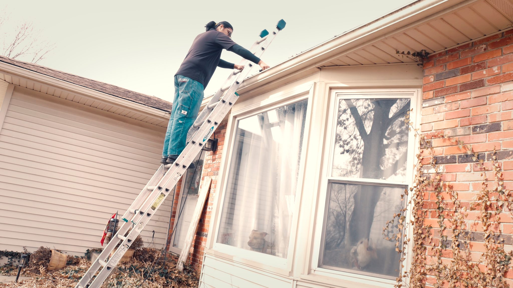 Effective Solution for Tough Roof Stains - Empire Cleaning